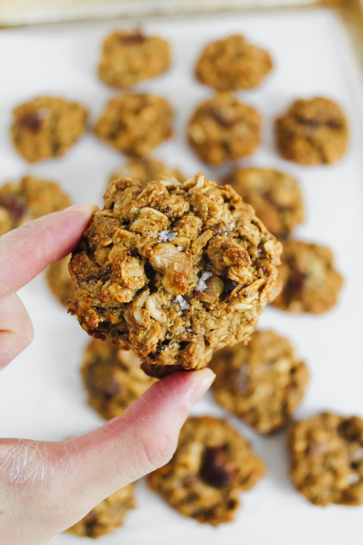 Oatmeal Date Walnut Cookies (vegan, gluten-free, refined sugar free ...