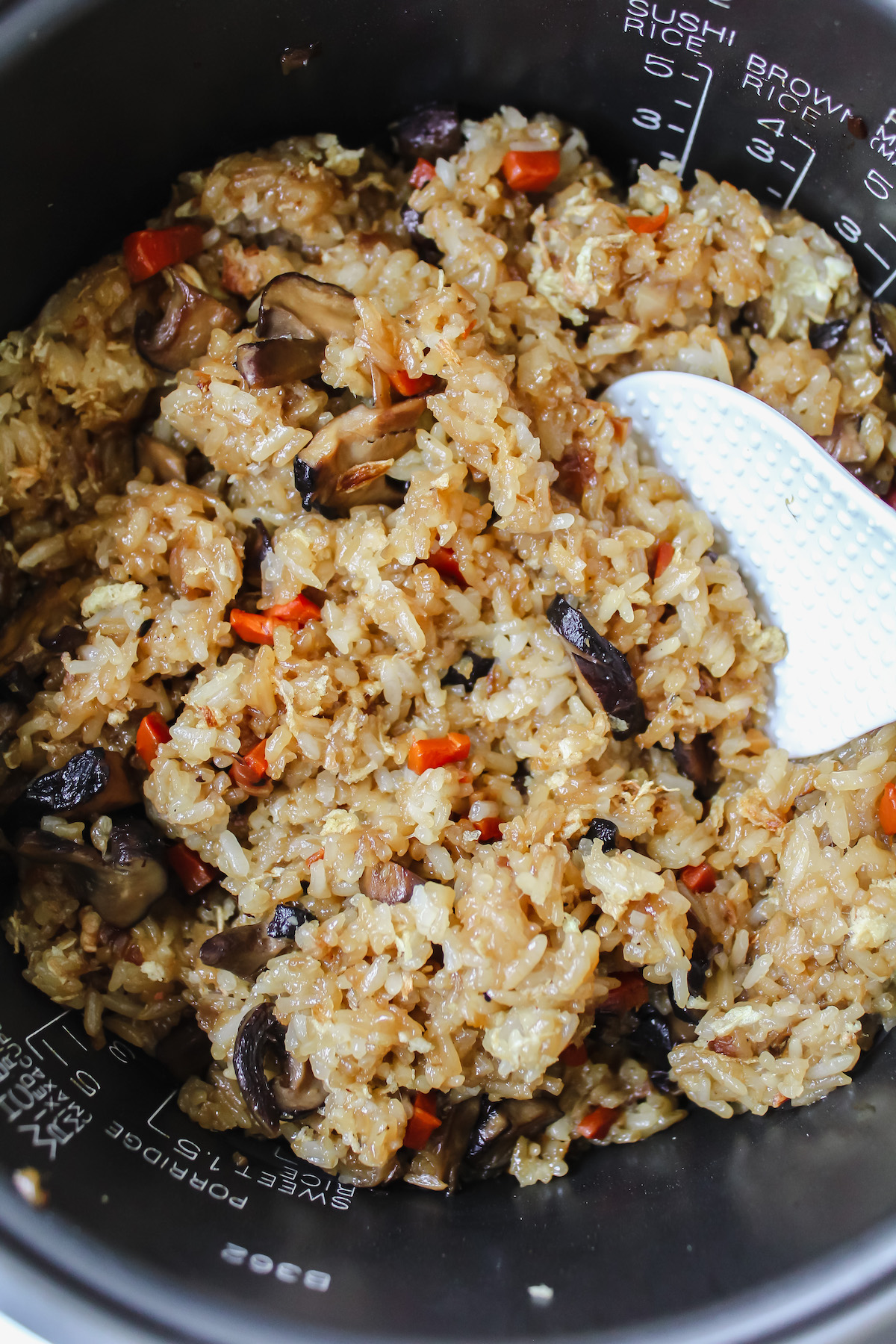 Vegan Rice Cooker Chinese Sticky Rice (Nuo Mi Fan) - Nuts About Greens